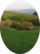 Danny Herrin Obituary - McMinnville, Tennessee | Gardens of Memory ...